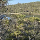 Manly Dam Loop, New South Wales, Australia - 896 Reviews, Map | AllTrails