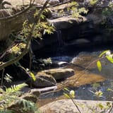 Manly Dam Loop, New South Wales, Australia - 909 Reviews, Map | AllTrails