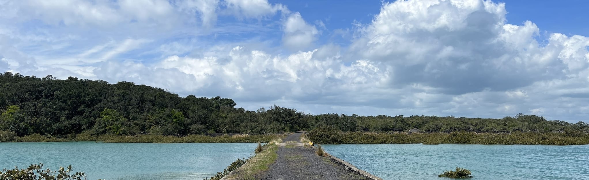 Rangitoto Island Loop, Auckland, New Zealand - 296 Reviews, Map | AllTrails