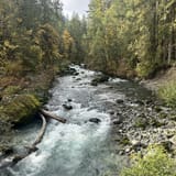 Dosewallips River Road Trail, Washington - 629 Reviews, Map | AllTrails