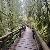 Capilano Canyon and Upper Capilano Pacific Trail Loop, British Columbia ...