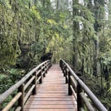 Capilano Canyon and Upper Capilano Pacific Trail Loop, British Columbia ...