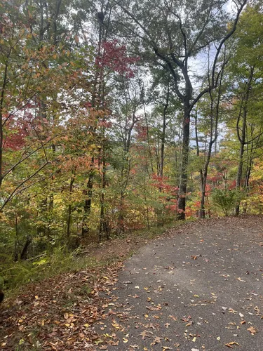 Blue Ridge Lake Recreation Area: de beste routes om te wandelen | AllTrails