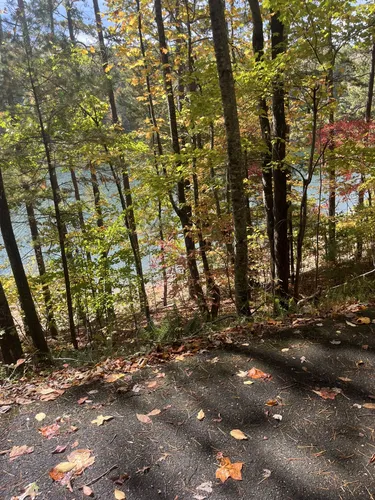 Blue Ridge Lake Recreation Area: de beste routes om te wandelen | AllTrails