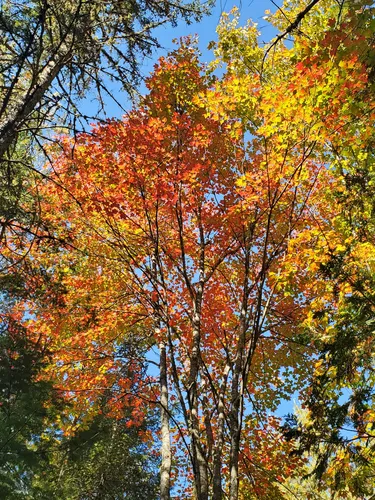 Best Beach Trails in Duhamel | AllTrails