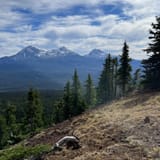 Tenas Lakes via Benson Lake Trail, Oregon - 328 Reviews, Map | AllTrails