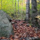 Percy Peaks Loop, New Hampshire - 191 Reviews, Map | AllTrails