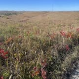 Konza Prairie Nature Trail Loop, Kansas - 438 Reviews, Map | AllTrails