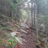 Percy Peaks Loop, New Hampshire - 191 Reviews, Map | AllTrails
