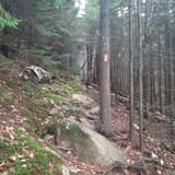 Percy Peaks Loop, New Hampshire - 191 Reviews, Map | AllTrails
