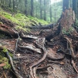 Percy Peaks Loop, New Hampshire - 191 Reviews, Map | AllTrails