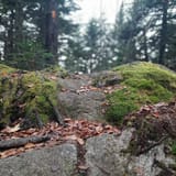 Percy Peaks Loop, New Hampshire - 191 Reviews, Map | AllTrails