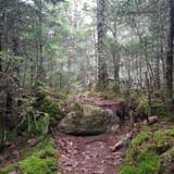 Percy Peaks Loop, New Hampshire - 191 Reviews, Map | AllTrails