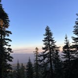 Gray Butte Trail, California - 203 Reviews, Map | AllTrails