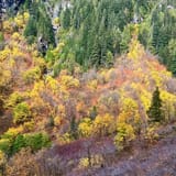 Mount Forgotten Meadows Trail, Washington - 353 Reviews, Map | AllTrails