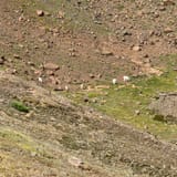 Legore Lake via Falls Creek Trail, Oregon - 35 Reviews, Map | AllTrails