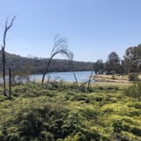 Manly Dam Loop, New South Wales, Australia - 909 Reviews, Map | AllTrails