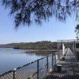 Manly Dam Loop, New South Wales, Australia - 896 Reviews, Map | AllTrails