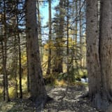 Nambe Lake Trail, New Mexico - 2,504 Reviews, Map | AllTrails