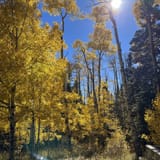 Nambe Lake Trail, New Mexico - 2,504 Reviews, Map | AllTrails