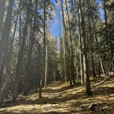 Nambe Lake Trail, New Mexico - 2,504 Reviews, Map | AllTrails