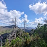Mount Cordeaux Track, Queensland, Australia - 486 Reviews, Map | AllTrails