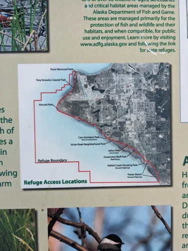 Best Hikes and Trails in Carr-Gottstein Park | AllTrails