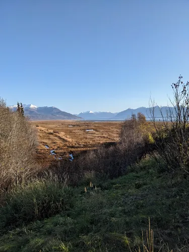 Best Hikes and Trails in Carr-Gottstein Park | AllTrails