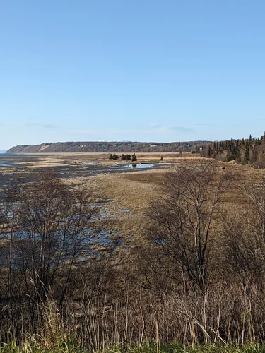 Best Hikes and Trails in Carr-Gottstein Park | AllTrails