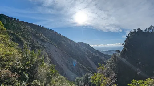 10 Best Hikes and Trails in Ruahine Forest Park | AllTrails