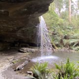Lorne Waterfalls Loop, Victoria, Australia - 162 Reviews, Map | AllTrails