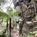 Lorne Waterfalls Loop, Victoria, Australia - 162 Reviews, Map | AllTrails