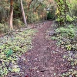 Pilot Knoll Trail, Texas - 620 Reviews, Map | AllTrails
