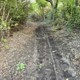 Pilot Knoll Trail, Texas - 620 Reviews, Map | AllTrails