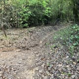 Pilot Knoll Trail, Texas - 620 Reviews, Map | AllTrails