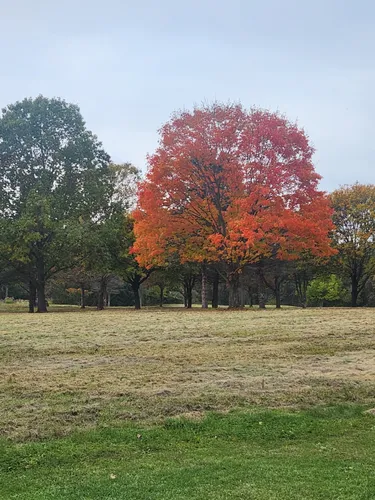 Best Hikes and Trails in Shadow Pines Property | AllTrails