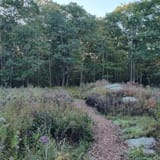 Timber Point, Maine - 397 Reviews, Map | AllTrails