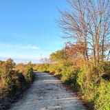 Timber Point, Maine - 397 Reviews, Map | AllTrails