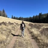 Raspberry Mountain Trail via Ring the Peak Trail, Colorado - 1,776 ...