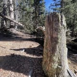 Raspberry Mountain Trail via Ring the Peak Trail, Colorado - 1,776 ...