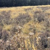 Raspberry Mountain Trail via Ring the Peak Trail, Colorado - 1,776 ...