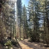 Raspberry Mountain Trail via Ring the Peak Trail, Colorado - 1,776 ...