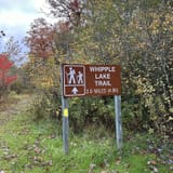 Whipple Dam Trail, Pennsylvania - 367 Reviews, Map | AllTrails