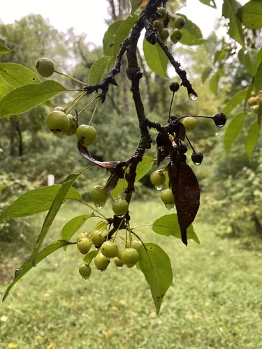 Best Hikes and Trails in Great Valley Nature Center | AllTrails