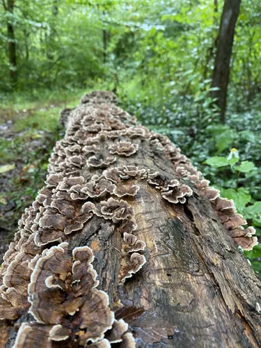 Best Hikes and Trails in Great Valley Nature Center | AllTrails