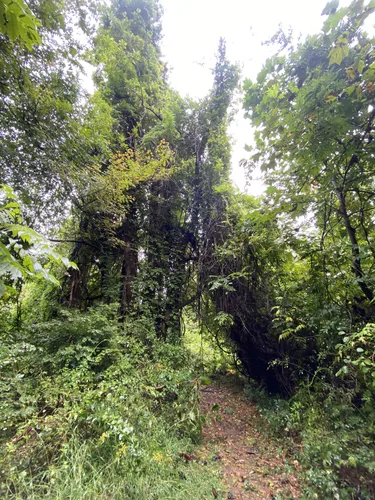 Best Hikes and Trails in Great Valley Nature Center | AllTrails