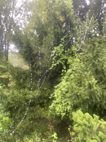 Best Hikes and Trails in Great Valley Nature Center | AllTrails