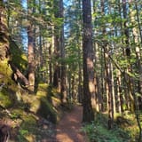 Silver Falls Loop, Washington - 2,786 Reviews, Map | AllTrails