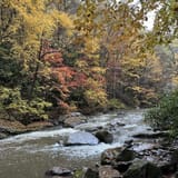 Meadow Run Trail, Pennsylvania - 1,063 Reviews, Map | AllTrails