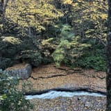 Meadow Run Trail, Pennsylvania - 1,063 Reviews, Map | AllTrails